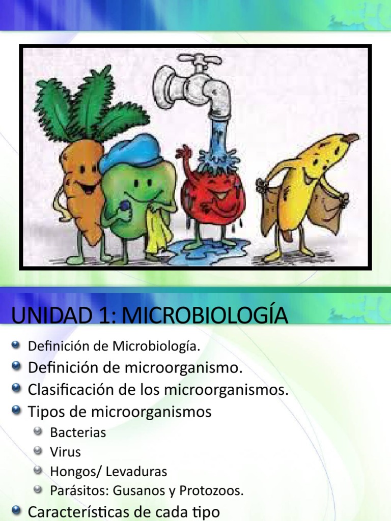 Módulo 1 Microbiología Pdf Microorganismo Las Bacterias