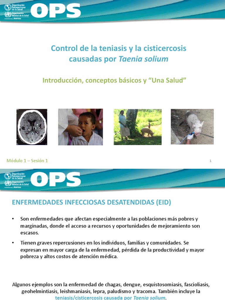 m1 s1 Teniasis Final | PDF | Diagnostico medico | Salud pública