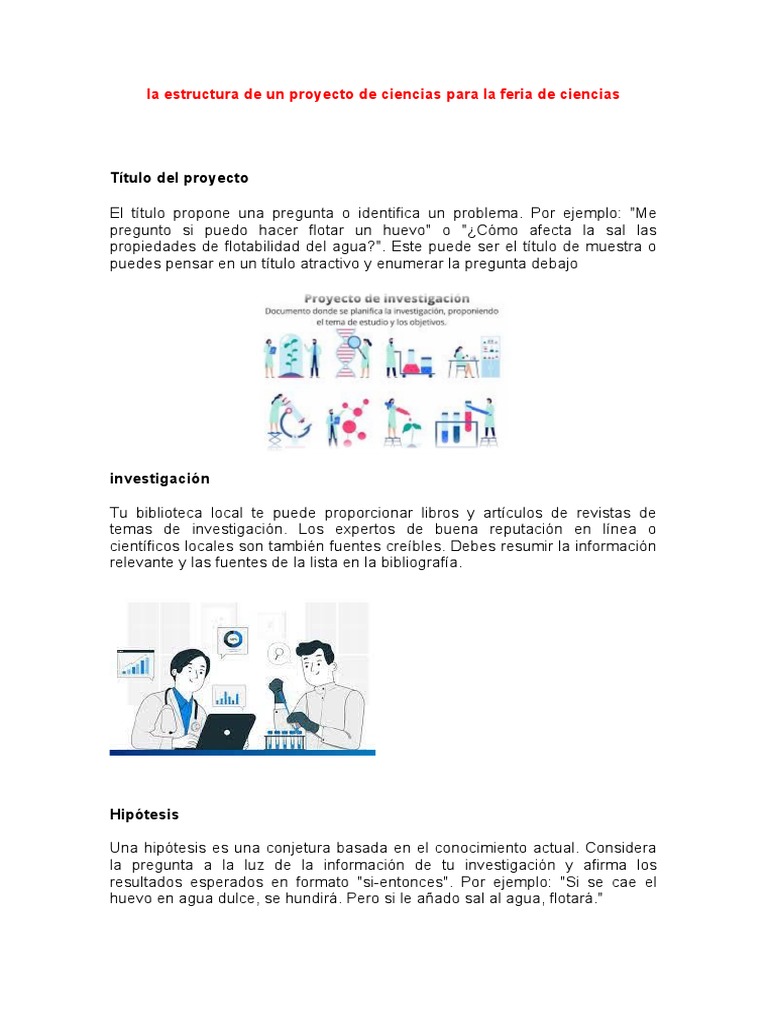 La Estructura de Un Proyecto de Ciencias para La Feria de Ciencias ...