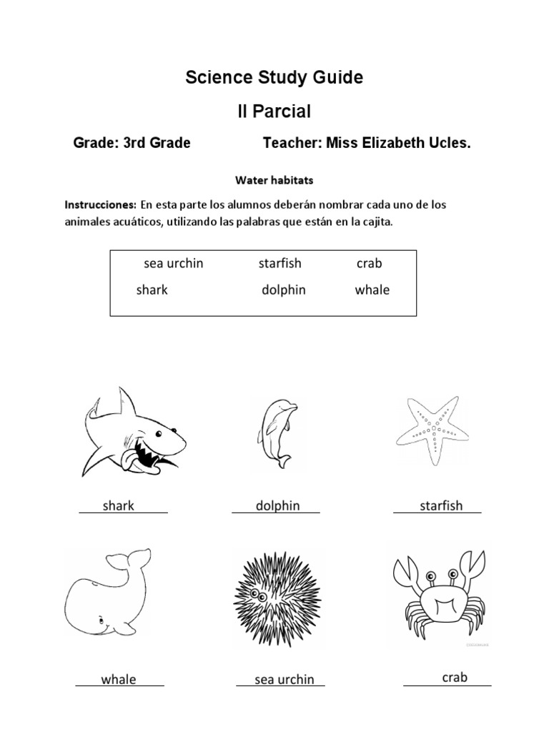3rd Grade Science Study Guide II Parcial | PDF