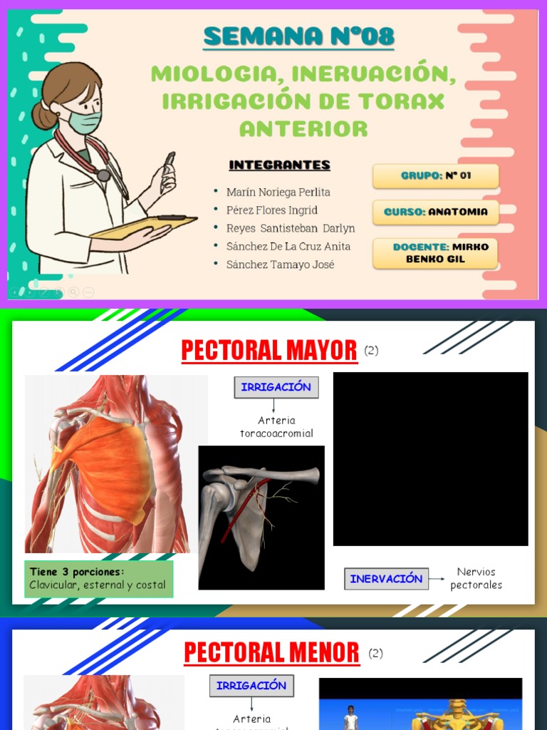 Miologia Inervacion e Irrigacion de Torax Anterior | PDF | Tórax | Anatomía