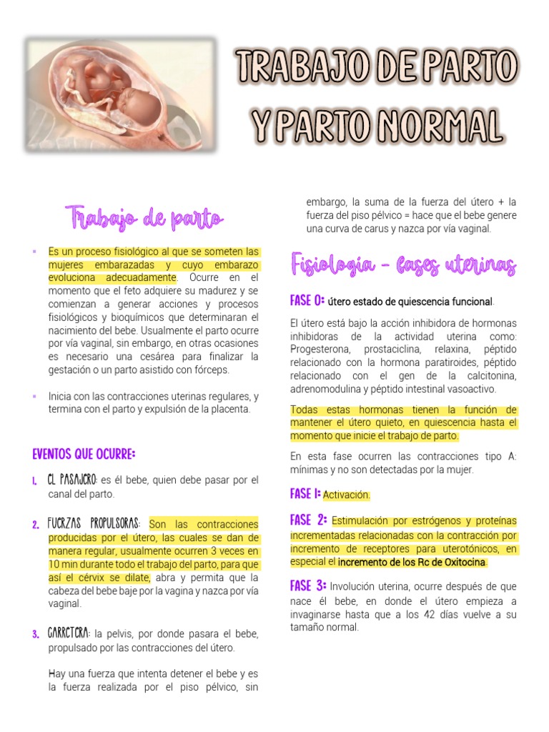 Parto Normal | Descargar gratis PDF | Parto | El embarazo