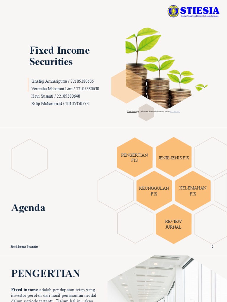 Fixed Income Securities | PDF