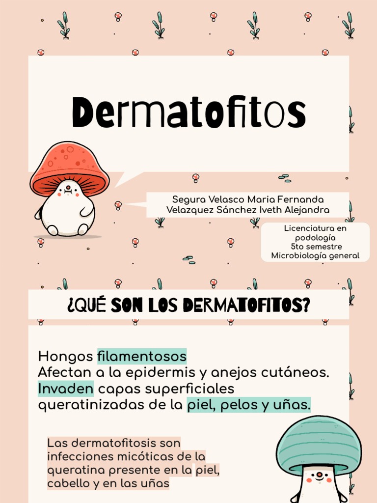 Exposición Dermatofitos - Microbiología | PDF | Piel | Micología