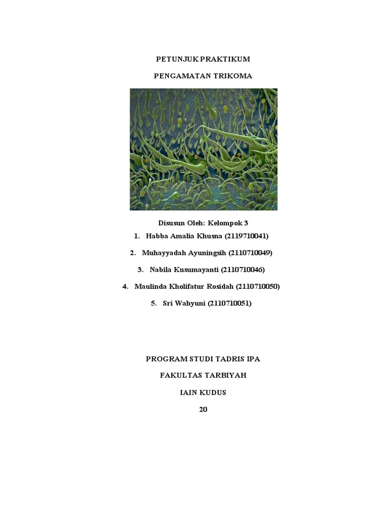 Laporan Pengamatan Trikoma (Prak. 3) | PDF