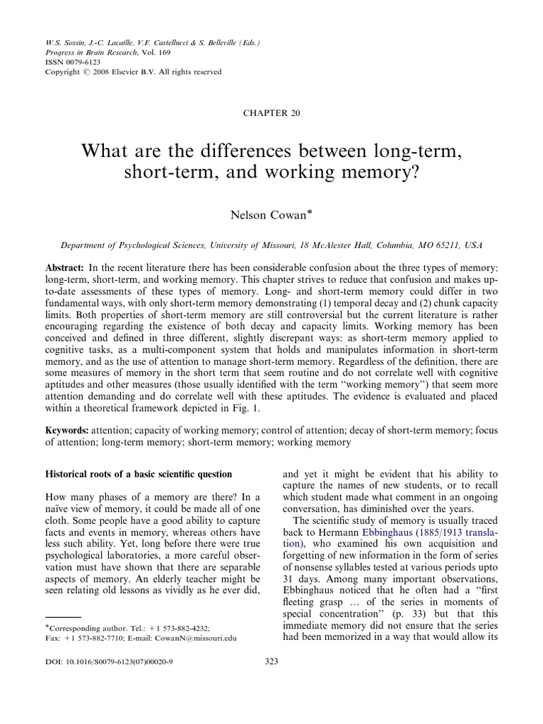 Cowan 2008 | PDF | Memory | Recall (Memory)