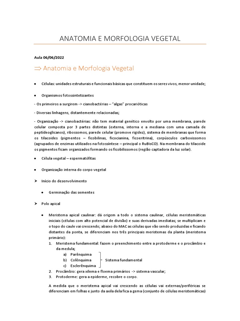 Anatomia e Morfologia Vegetal: Estrutura e Organização das Células e ...