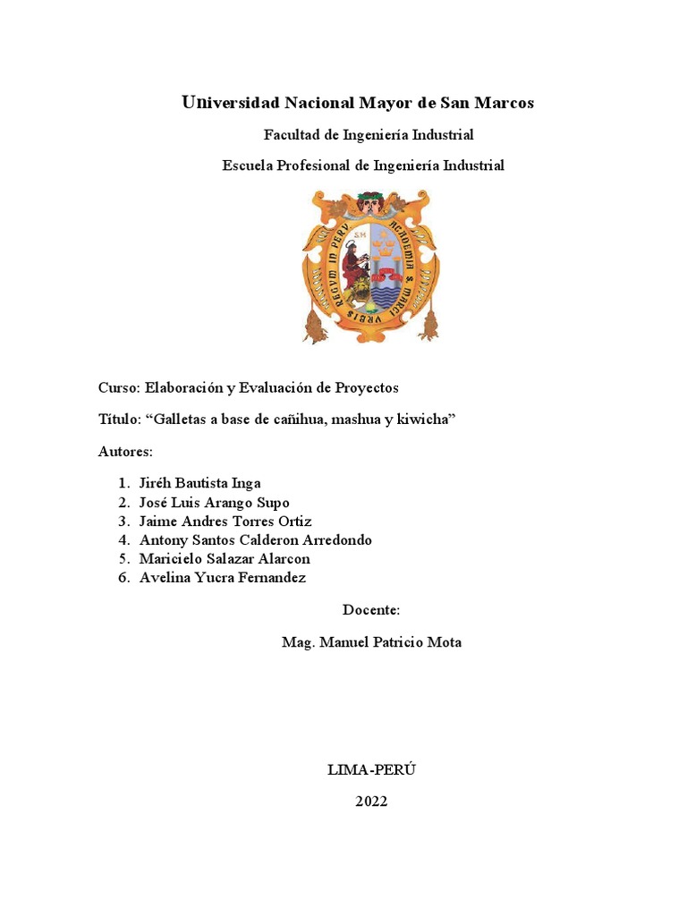 Trabajo Grupo 3 - Elaboracion y Evaluacion de Proyectos San Marcos | Descargar gratis PDF ...