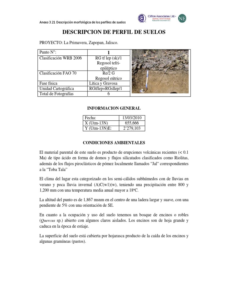 Anexo 3.21 Descripción Morfológica de Los Perfiles de Suelos | PDF | Suelo | Volcán
