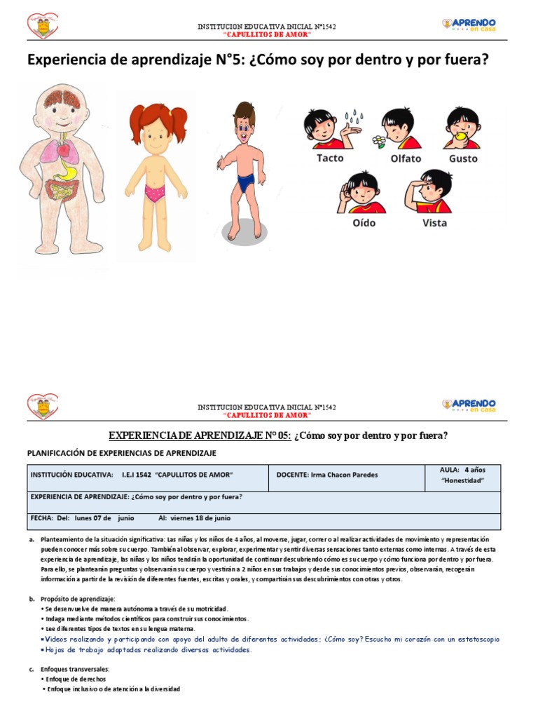 Descubriendo mi cuerpo: Un viaje de aprendizaje interior y exterior ...