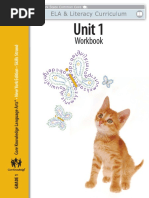 Phonics (Grade 1) (Spectrum) | PDF | Phonics