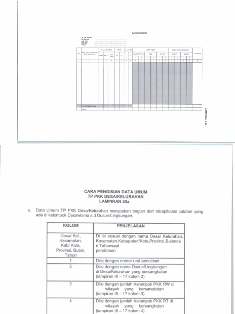 Tata Cara Pengisian Data | PDF