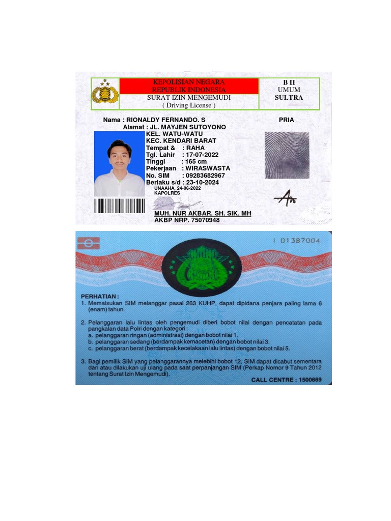 Hasil Sim Bii Umum Sultra - Rionaldi Fernando | PDF