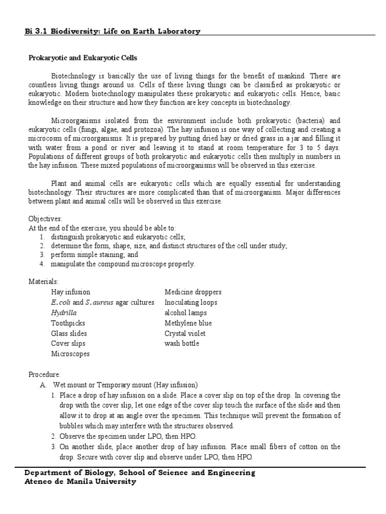 Bi 6 Lab Ex 3-Prokaryotic and Eukaryotic Cells | PDF | Cell (Biology) | Staining
