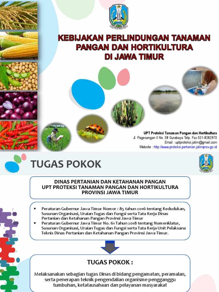 Kebijakan Perlindungan Tanaman Pangan Dan Hortikultura Jawa Timur ... Kebijakan Perlindungan Tanaman Pangan Dan Hortikultura Jawa Timur ...