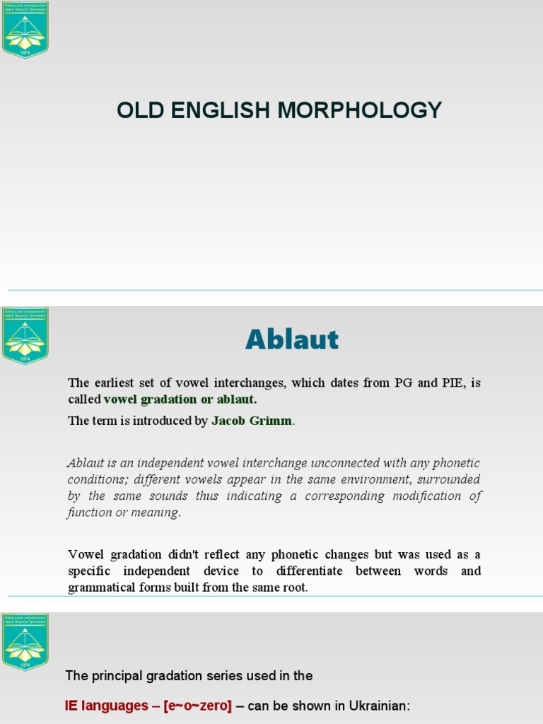 Lecture 4-5 (6) OE Morphology | PDF | Grammatical Gender | Grammatical ... Lecture 4-5 (6) OE Morphology | PDF | Grammatical Gender | Grammatical ...
