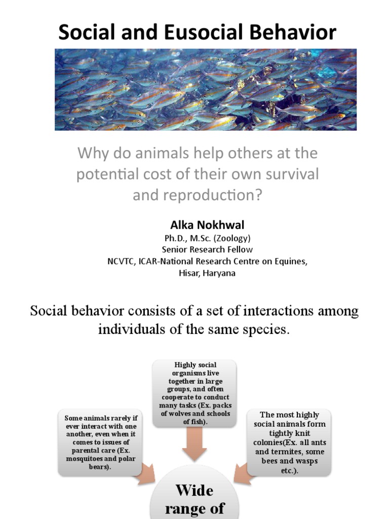 Eusocial Behaviour | PDF | Eusociality | Organisms