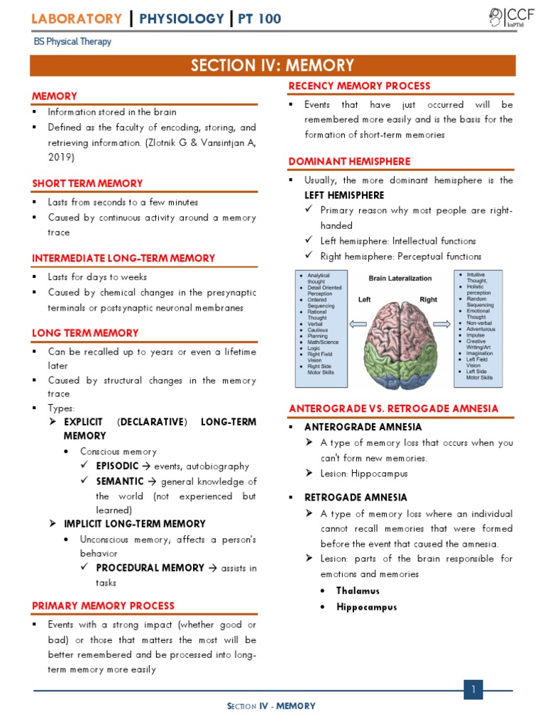 LAB Memory | PDF | Memory | Long Term Memory LAB Memory | PDF | Memory | Long Term Memory