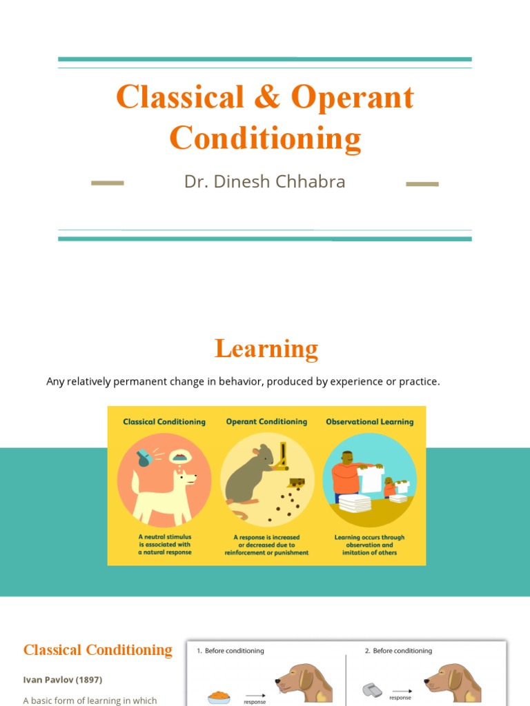 4 Classical & Operant Conditioning | PDF | Classical Conditioning | Reinforcement