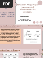 Struktur Terpenoid | PDF