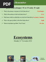 3rd Grade - Food Chain Worksheet | PDF