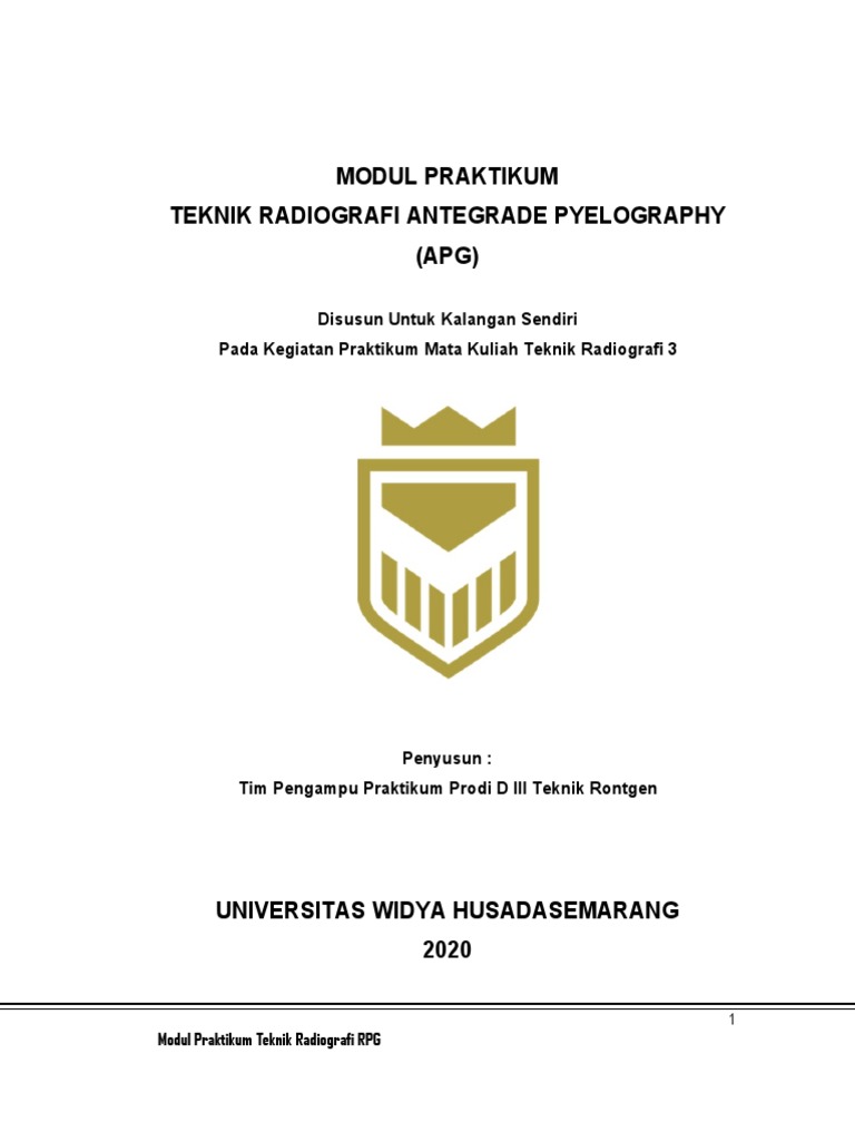 Modul Praktikum Teknik Radiografi Antegrade Pyelography (APG) | PDF