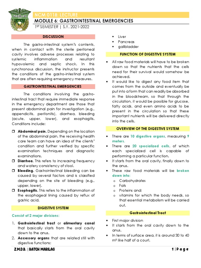Module 6 | PDF | Digestion | Human Digestive System