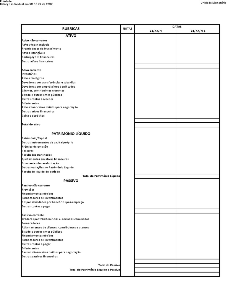 Balanço Individual Modelo Geral SNC-AP | PDF | Capital próprio ...