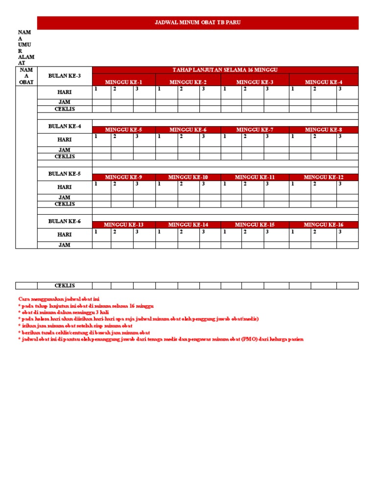Jadwal Minum Obat TB Paru | PDF