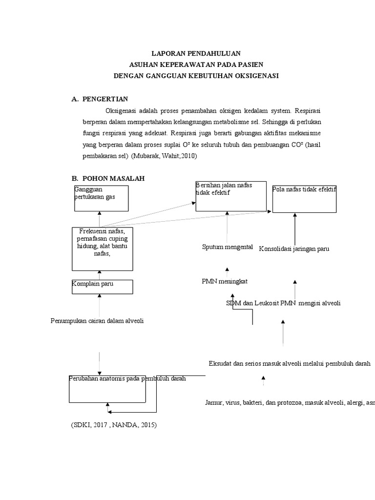 165 LP Oksigenasi Sdki | PDF