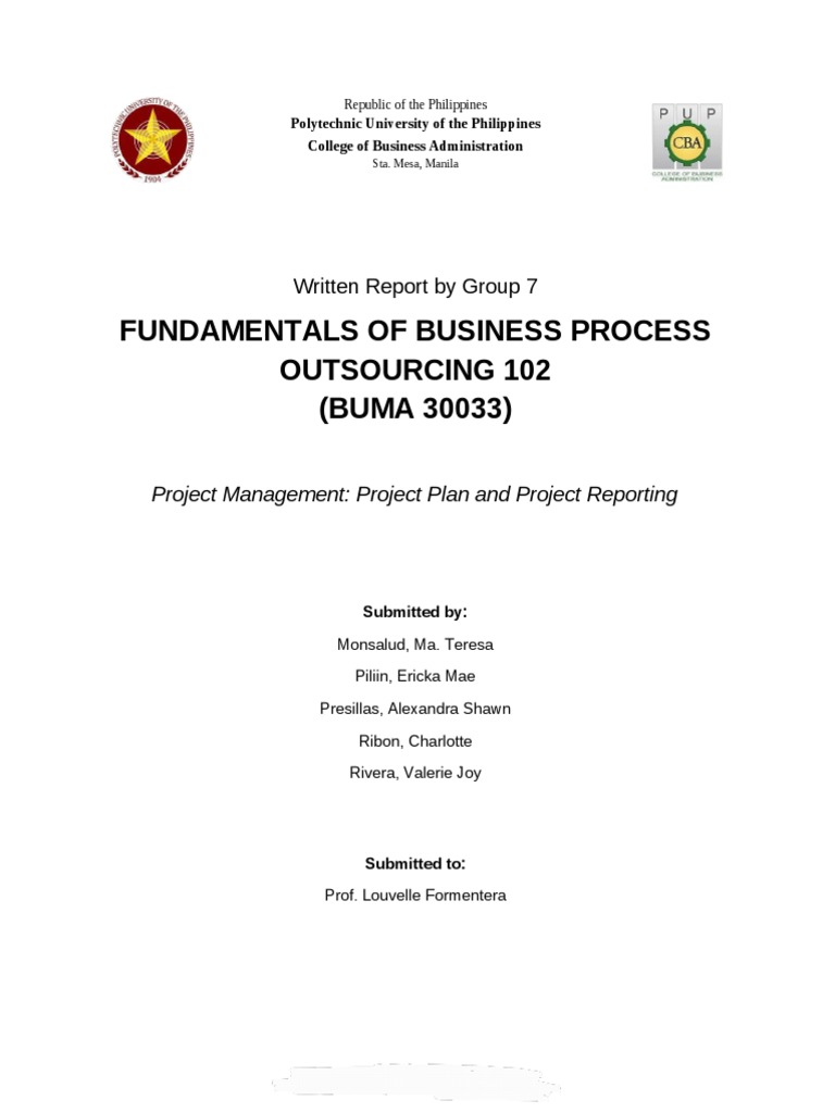 Project Plan Project Reporting | PDF | Risk | Business