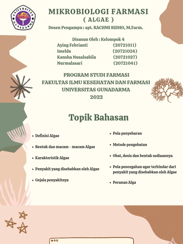 Kelompok 4 Algae 2HB01 | PDF | Kesehatan Holistik