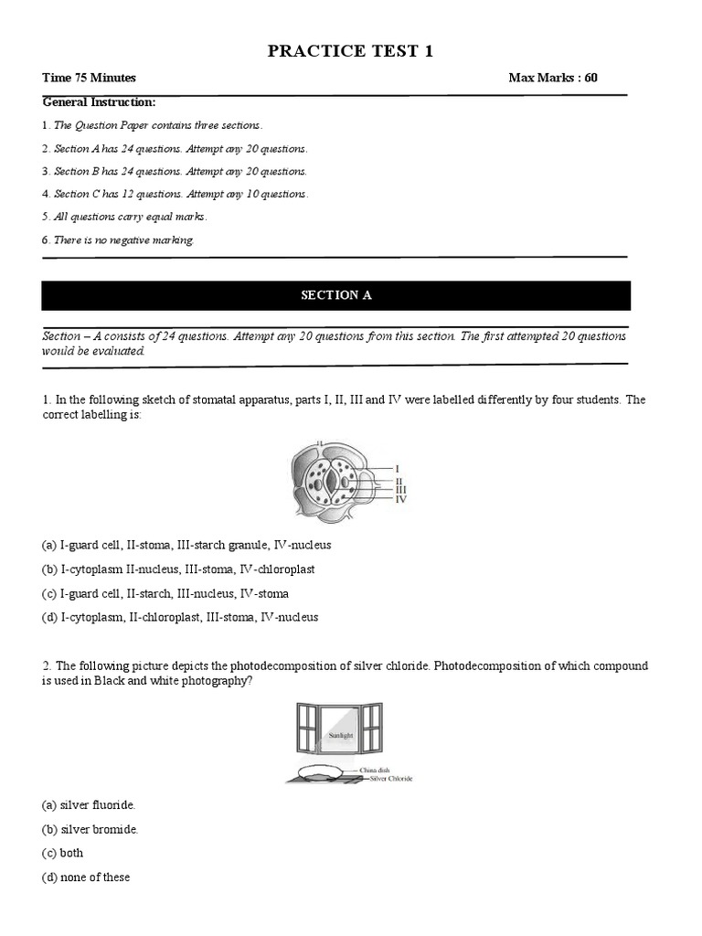 Grade 10 Science Practice Test 1 | PDF | Ionic Bonding | Chemical Compounds