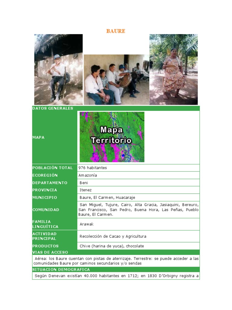 BAURE | PDF