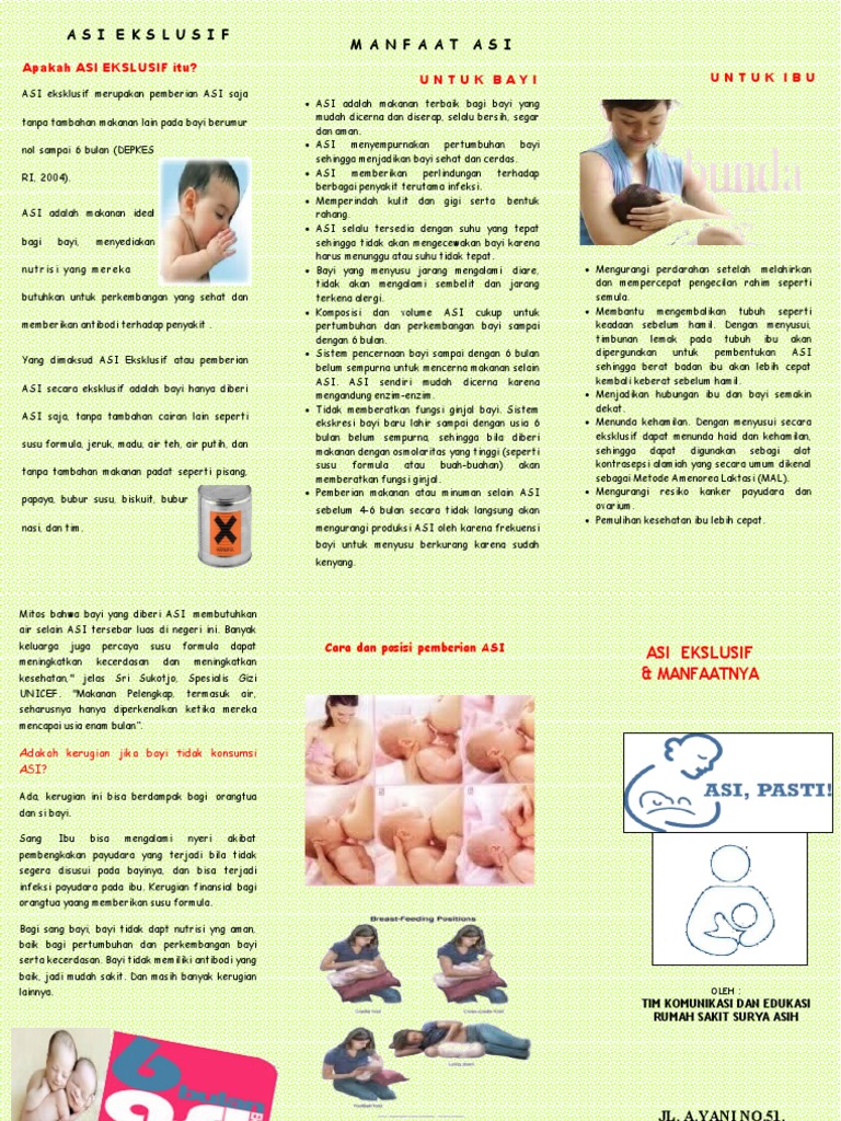 ASI Eksklusif (Leaflet) | PDF | Pengembangan Diri | Kesehatan Holistik