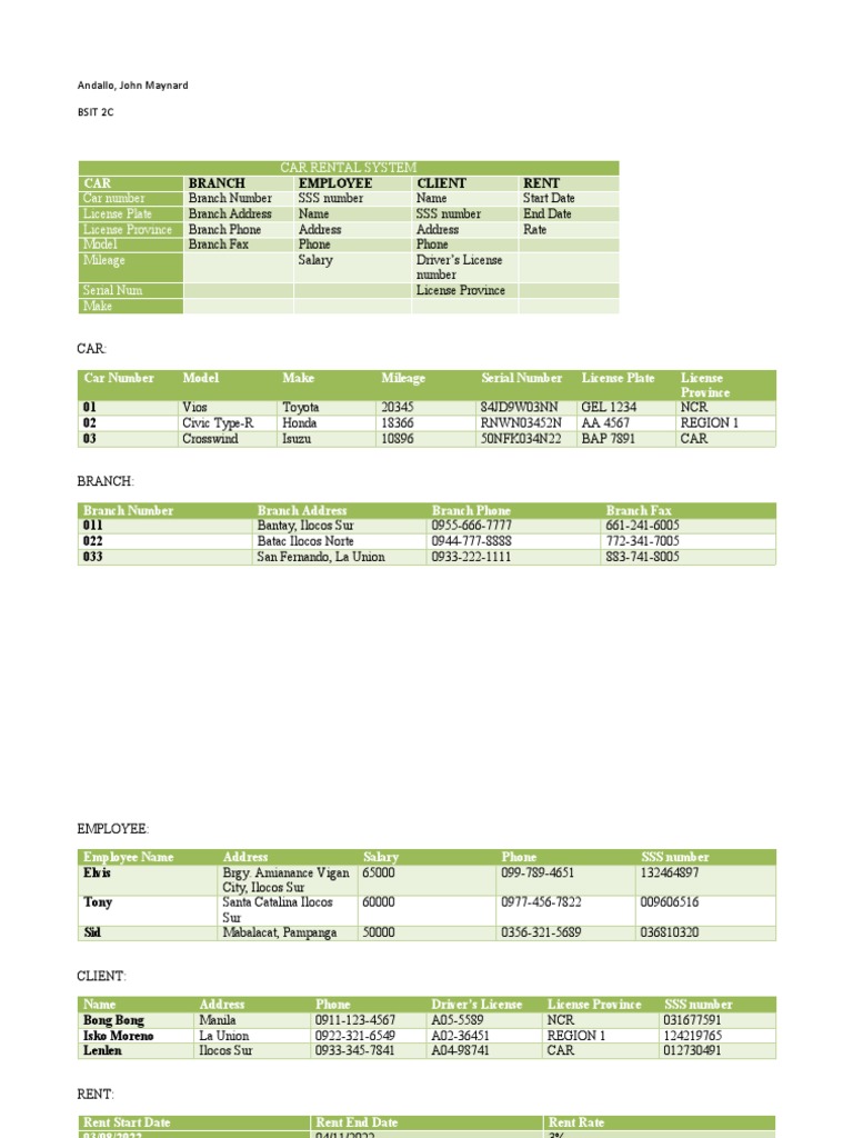 Car Rental System Overview and Data | PDF | Automotive Industry | Transport