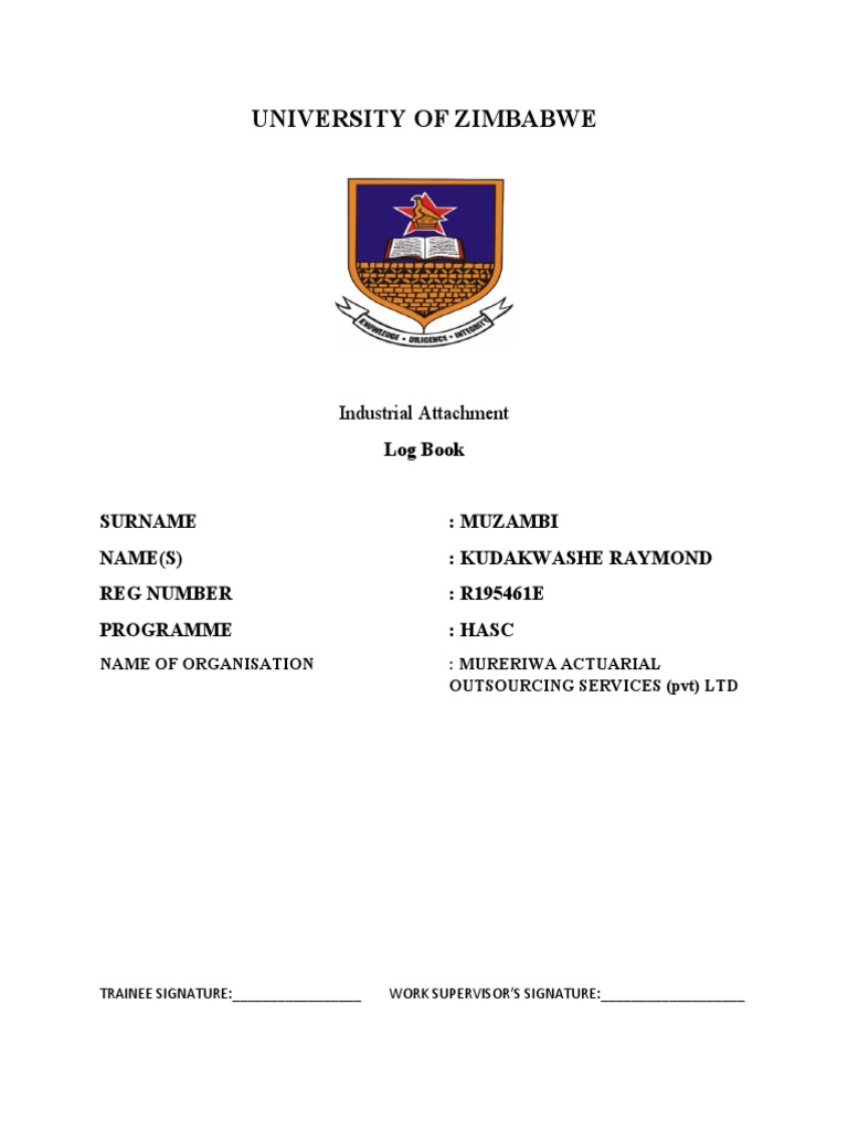 Logbook For Kudakwashe Muzambi v2 | PDF | Valuation (Finance) | Insurance