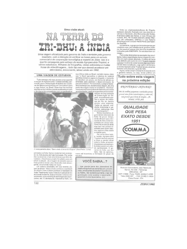 Nelore Trindade - Na Terra Do Zebu | PDF