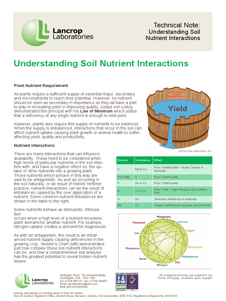 Lancrop - Understanding Soil Nutrient Interactions | PDF | Plant ...