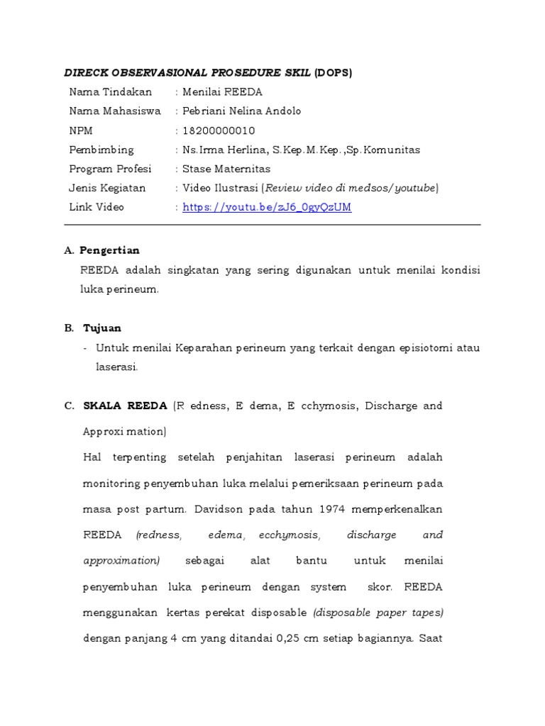 Ilustrasi Menilai Reeda | PDF