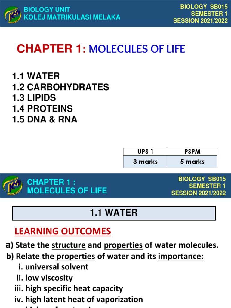Molecules of Life: 1.1 WATER 1.2 Carbohydrates 1.3 Lipids 1.4 Proteins ...