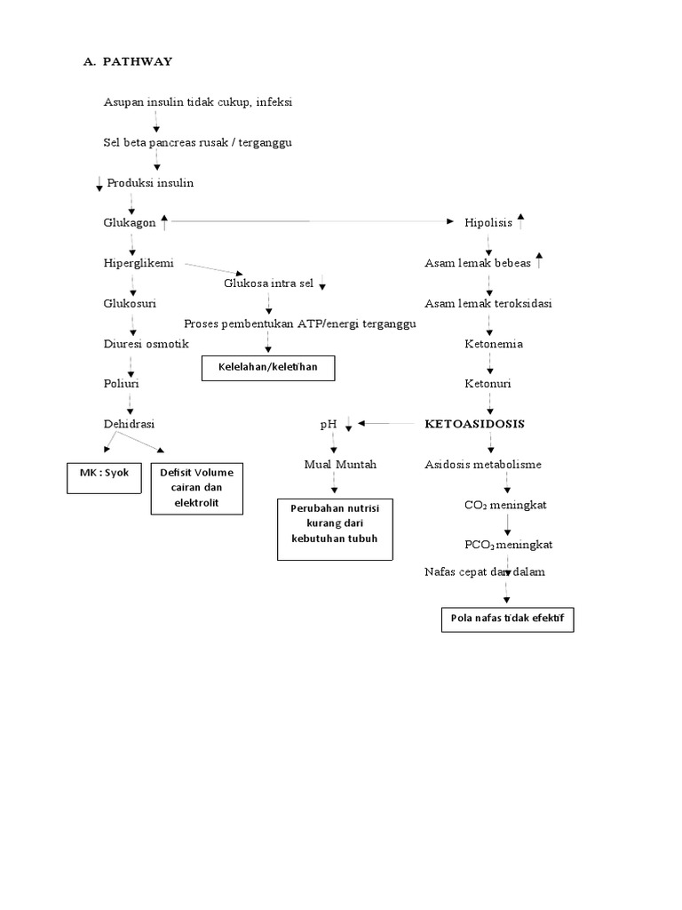 PATHWAY DIABETES MELLITUS TIPE 1 | PDF PATHWAY DIABETES MELLITUS TIPE 1 | PDF