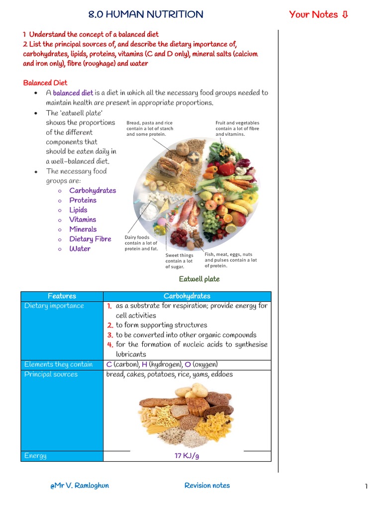 Human Nutrition | PDF | Digestion | Small Intestine