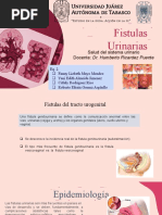 Episiotomía y Episiorrafia | PDF | Parto | Especialidades Medicas