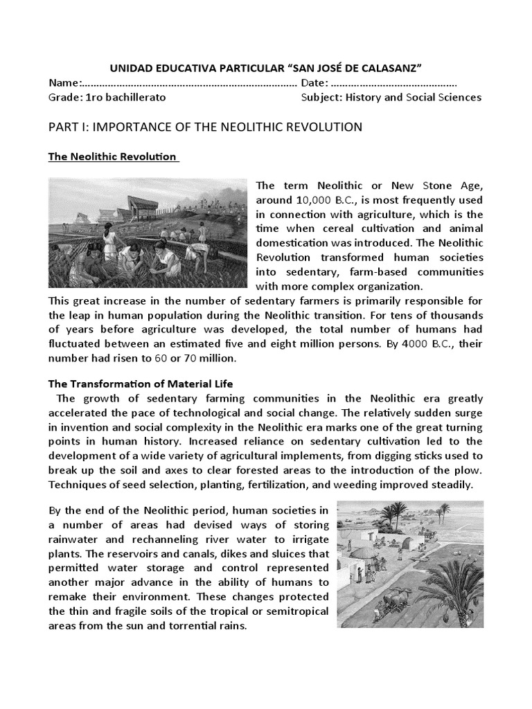 Neolithic Revolution: Transforming Society | PDF | Agriculture | Neolithic