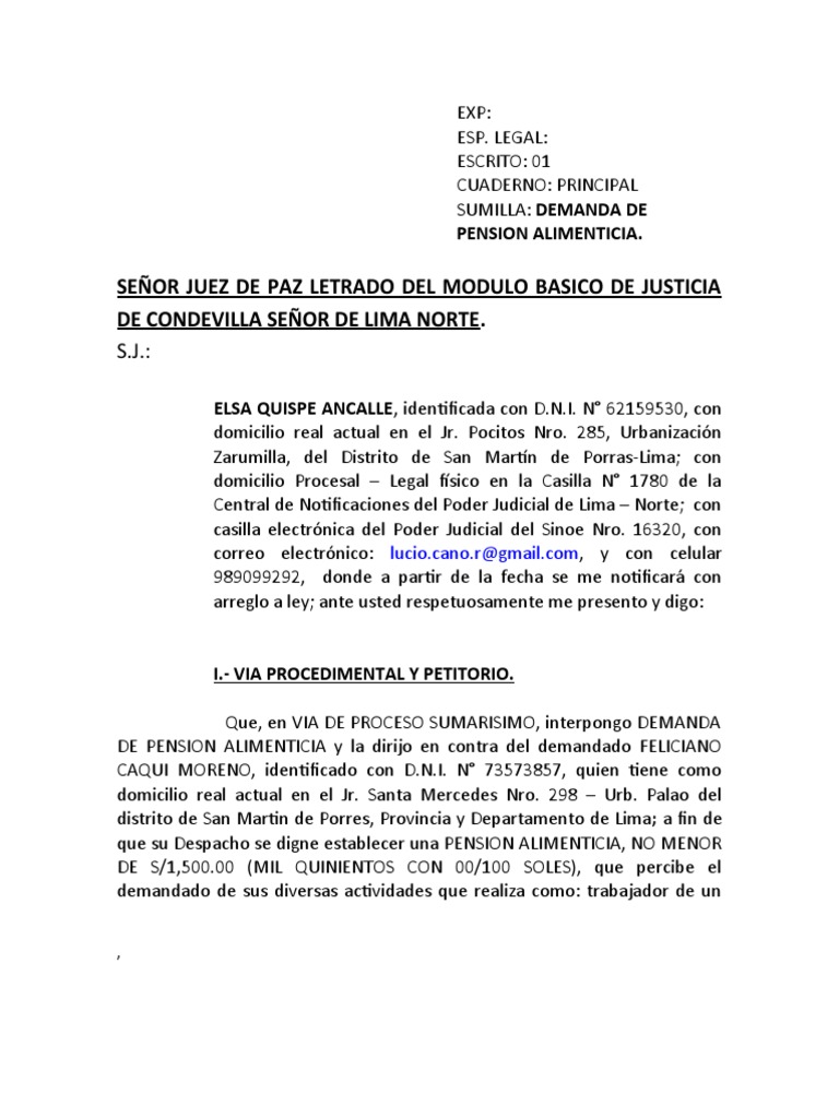 Demanda de Alimentos de Elsa Quispe | PDF | Ley procesal | Principios ...
