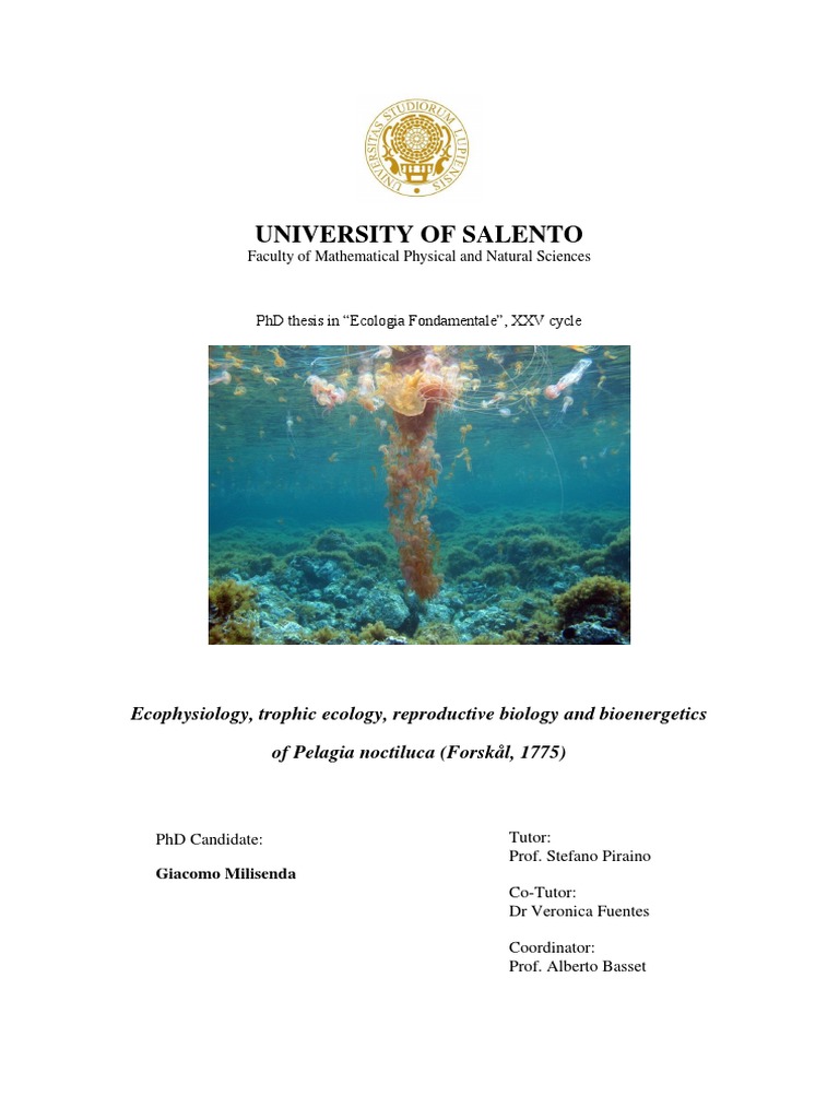 Ph. D. Thesis - Giacomo Milisenda | PDF