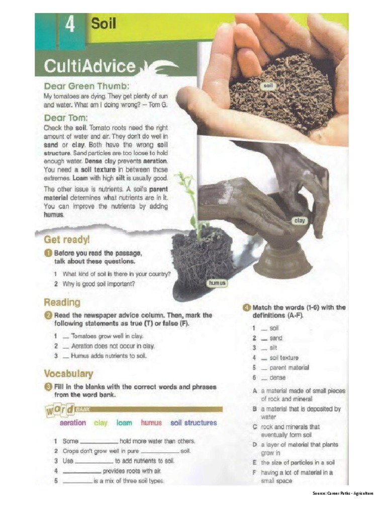 Ingles Evidencia 5 Pdf