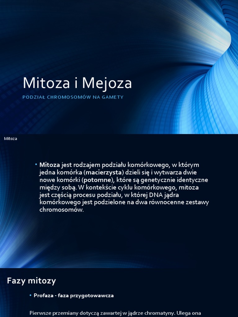 Mitoza I Mejoza | PDF