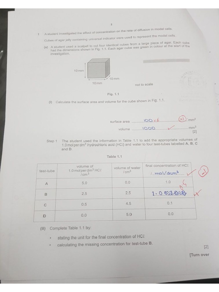 Bio p6 | PDF